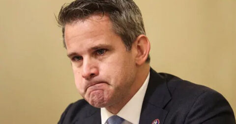 Now We Know: Adam Kinzinger was in it for the Money - The Lid