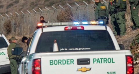 Border Patrol Captures More than 50 Sex offenders with Convictions ...