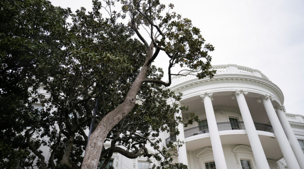 Trump Admin. Ribs Leftists by Giving Andrew Jackson's 200-Yr-Old ...